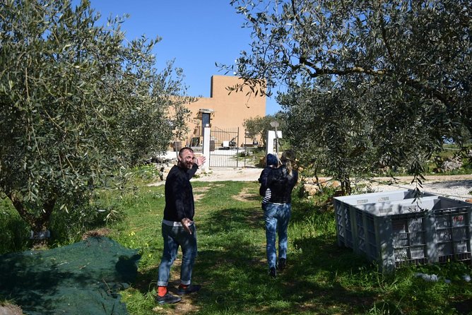 Olive Oil Experience - Transportation and Logistics