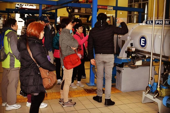 Olive Oil Experience - Highlights of the Experience