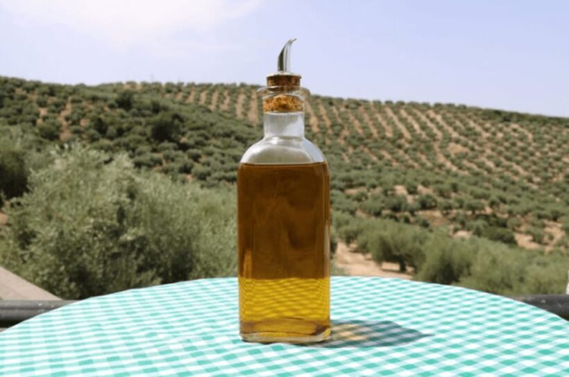 Olive Oil Factory from Sevilla Private Tour - The Sum Up