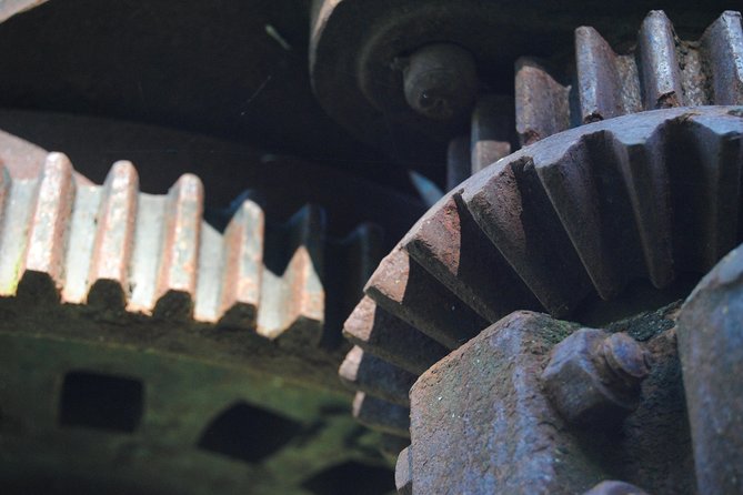 Olive Oil Farm Tour With Tasting From Seville - Witnessing the Oil Production Process