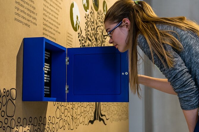 Olive Oil Guided Tasting and History in Pula - The Museum Experience