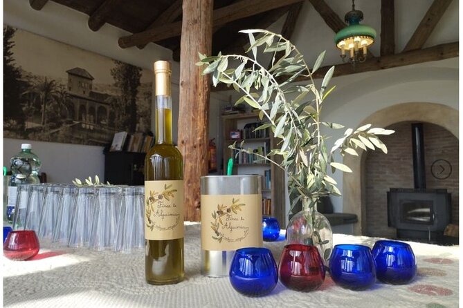 Olive Oil Half Day Private Experience from Granada - Deep Dive into the Itinerary