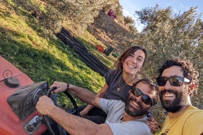 Olive Oil Half Day Private Experience from Granada - What Travelers Say