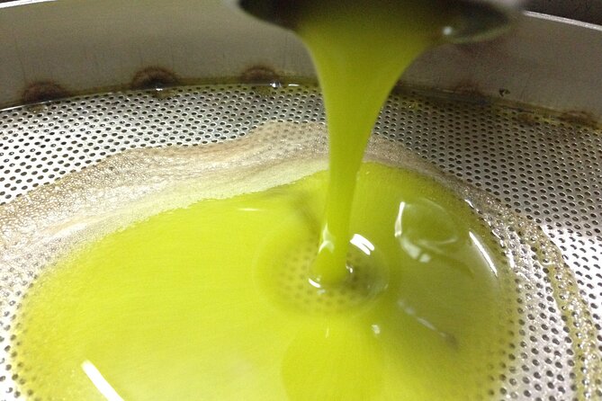 Olive Oil Mill experience and tasting in Salento with Guide - Who Will Love This Experience?