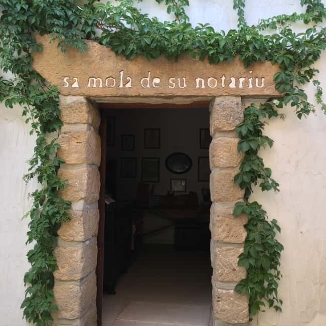 Olive Oil Museum: Extravirgin school - Food & wine tasting - Tasting and Flavored Oils