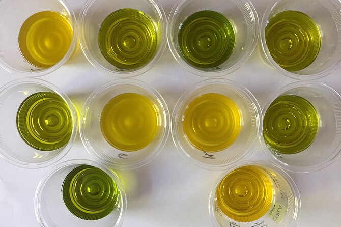 Olive Oil Private Full-Day Tour with Tasting in Valencia - Final Thoughts