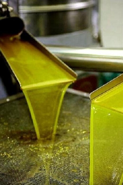 Olive oil Tasting 3-hour Trip from Chania Souda Cruise Port - Who Will Love This Tour?
