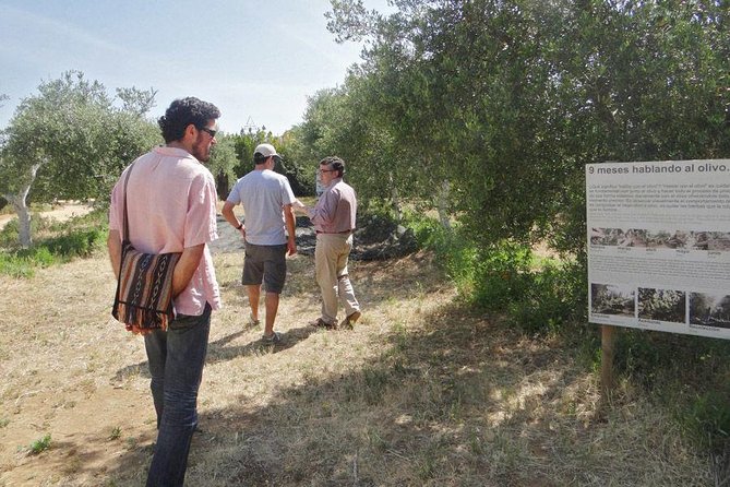 Olive Oil Tasting and Culinary Day Trip in Carmona - FAQ