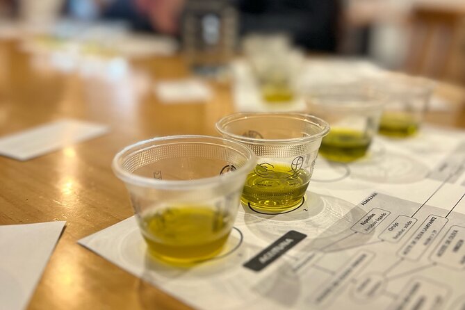 Olive Oil Tasting Experience in Sevilla - The Itinerary and What to Expect