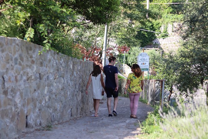 Olive oil tasting in Sorrento - What You Can Expect from the Tour