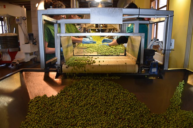 Olive Oil Tasting Tour - Meeting and Pickup