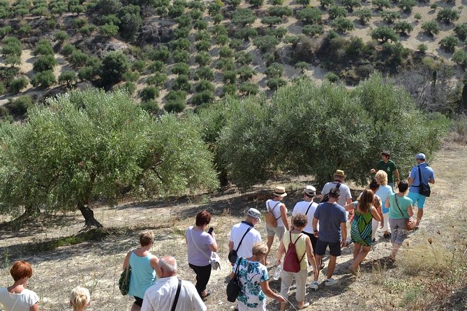 Olive Oil Tasting Tour - Sampling the Olive Oil Varietals
