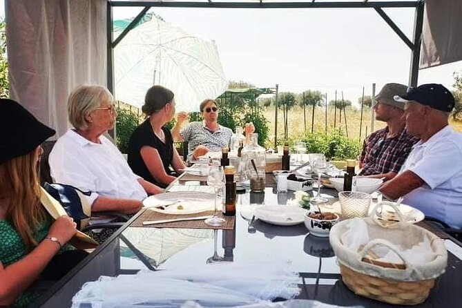 Olive oil tasting with seminar in Metagitsi - Halkidiki - Key Points
