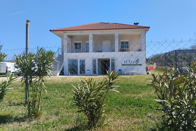 Olive oil tasting with seminar in Metagitsi - Halkidiki - Why This Tour Matters