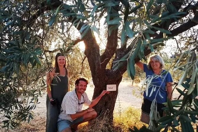 Olive oil tasting with seminar in Metagitsi - Halkidiki - Who Should Consider This Tour?