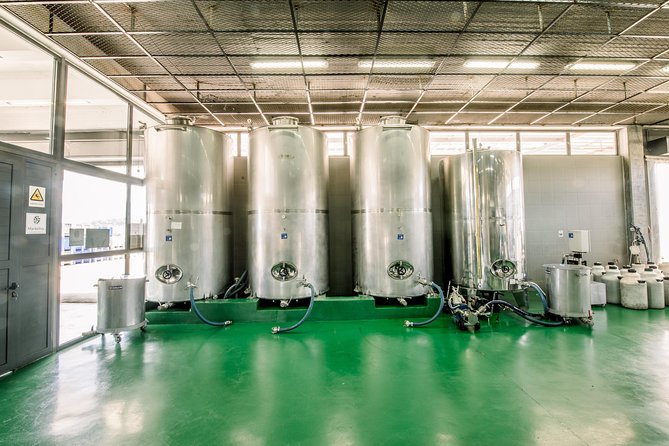 Olive Oil Tour & Tasting by Markellos Olive - Booking Your Olive Oil Tour