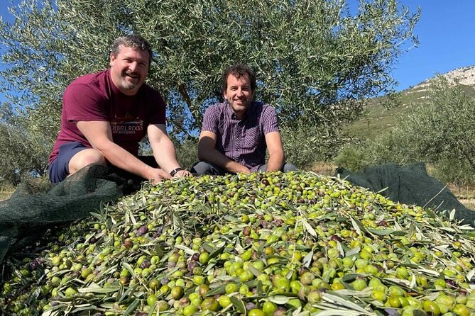 Olive Oil Tour & Tasting with sommelier -Kalentzi, Athens daytrip - Authentic Experiences and Traveler Feedback
