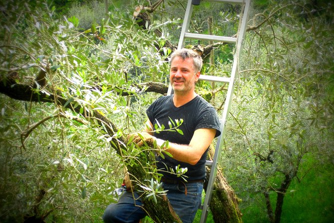 Olive Oil Tour With Tuscan Dinner - Booking Details and Cancellation Policy