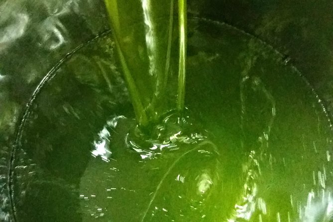 Olive Oil Tour With Tuscan Dinner - The Sum Up