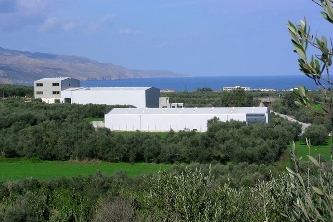 Olive Oil - Wine - Beer Private Tour (price per group of 6) - The Sum Up