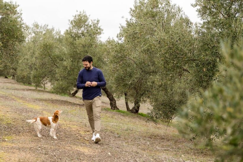 OLIVE OIL & WINE TOUR Organic fields - 5 Wines + 3Olive Oils - Key Points