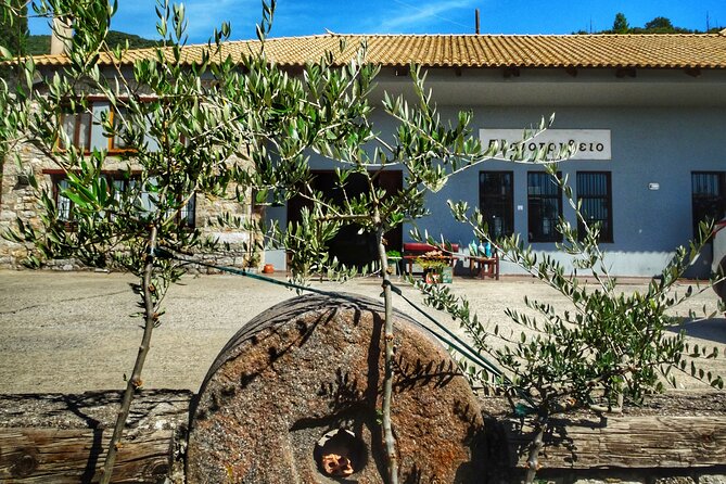 Olive Tour & Tasting - Booking and Experience Details