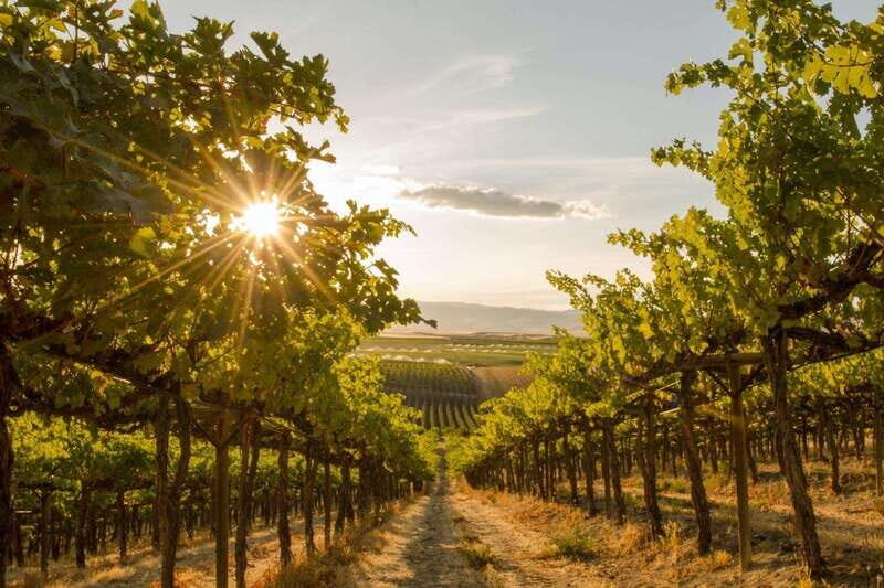 Oliver: Oliver Full Day Guided Wine Tour - Key Points