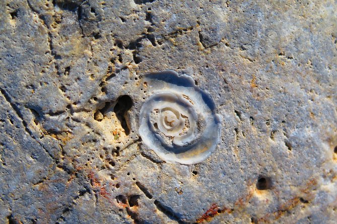 Olous – Guided Snorkelling Excursion to Discover Olous Sunken Ancient City - Pricing and Booking Confirmation