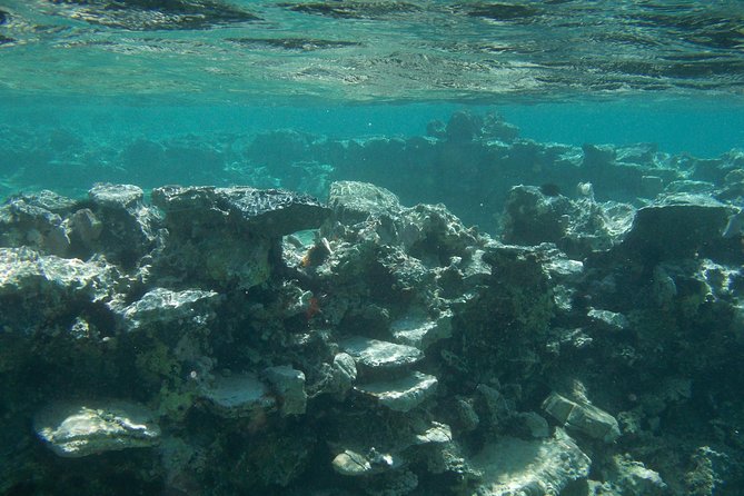 Olous – Guided Snorkelling Excursion to Discover Olous Sunken Ancient City - Cancellation Policy