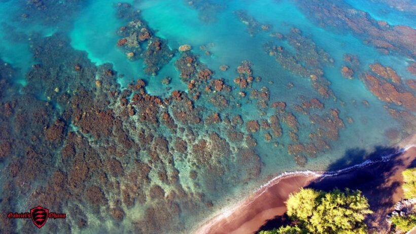 Olowalu: Guided Clear Kayak Tour - Unlimited - Authentic and Respectful Marine Encounter