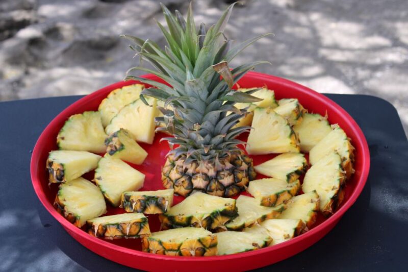 Olowalu: Guided Clear Kayak Tour - Unlimited - The Sum Up