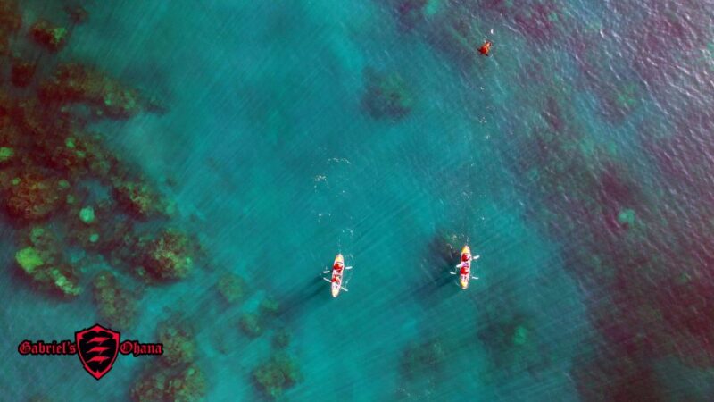 Olowalu: Guided Clear Kayak Tour - Unlimited - FAQs