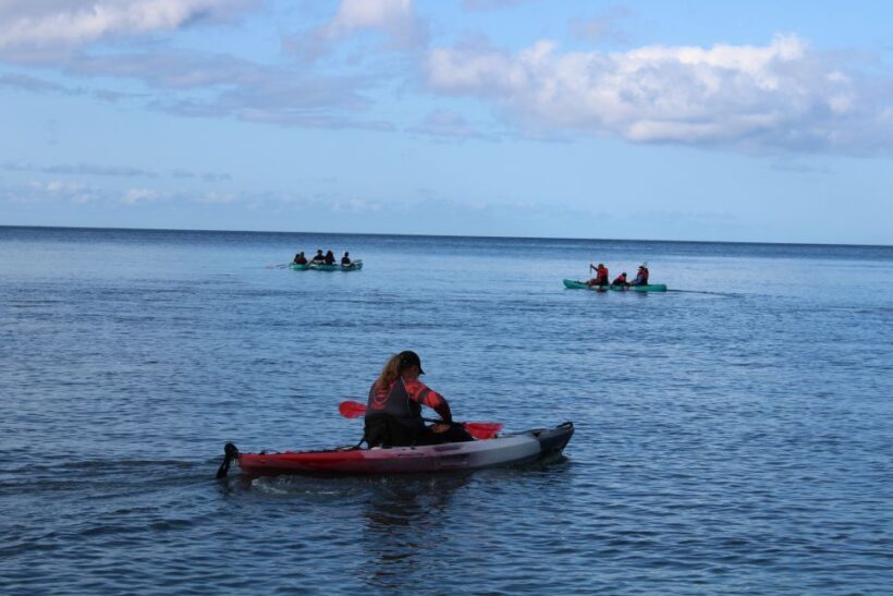 Olowalu: Guided Kayak and Snorkeling Tour - Unlimited - Key Points