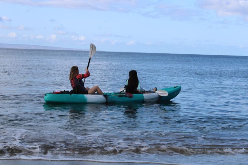 Olowalu: Guided Kayak and Snorkeling Tour - Unlimited - Who Would Love This Tour?
