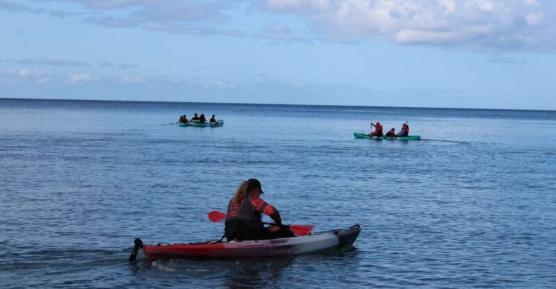 Olowalu: Guided Kayak and Snorkeling Tour - Unlimited - Safety and Comfort