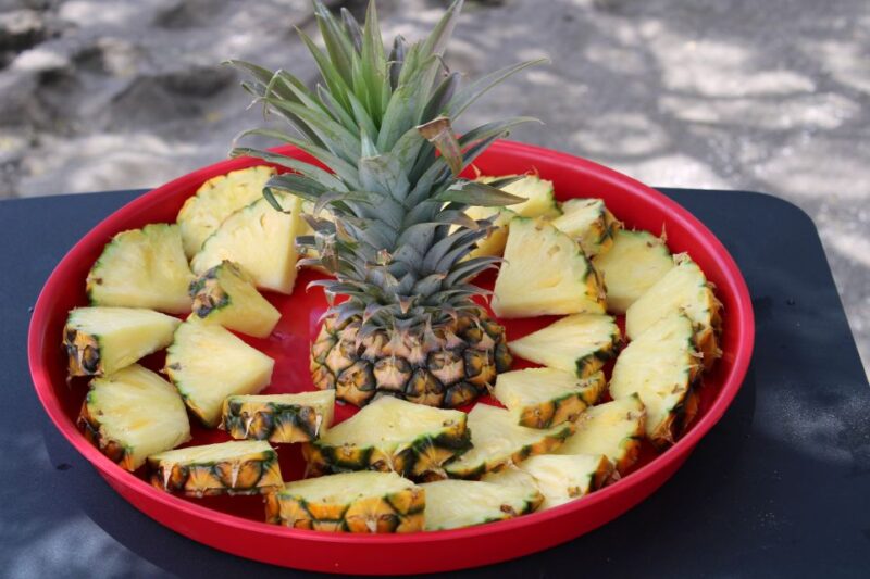 Olowalu: Guided Kayak and Snorkeling Tour - Unlimited - Final Thoughts