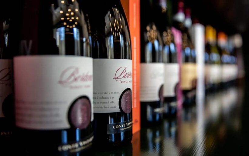 Oltrepò Pavese: Winery Tour and Wine Tasting outside Milan - Who Should Consider This Tour?