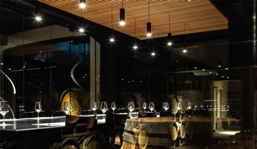 Oltrepò Pavese: Winery Tour and Wine Tasting outside Milan - The Sum Up