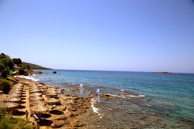 Olympia - Half Day Tour - Traveler Experiences and Feedback