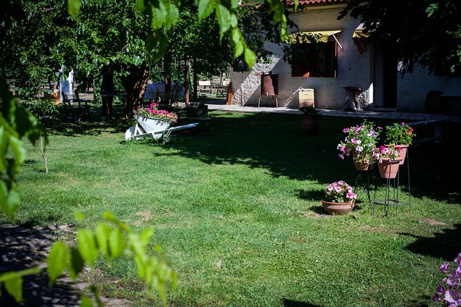 Olympia - Private Half Day Tour With Mini Bus - Exploring the Honey Farm