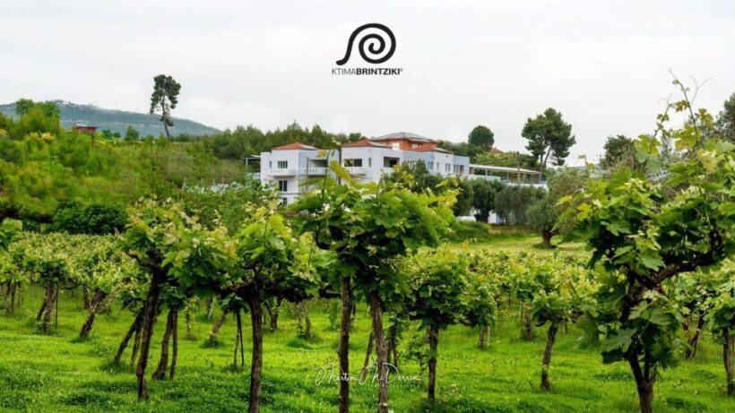 Olympia's Secrets & Wine Enchantment Tour - All Included - Who Will Enjoy This Tour Most?