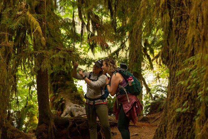Olympic Full Day Private Tour and Hike - A Well-Structured Day in Olympic National Park