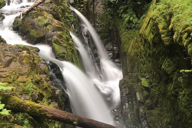 Olympic National Park Day Tour from Seattle - Key Points
