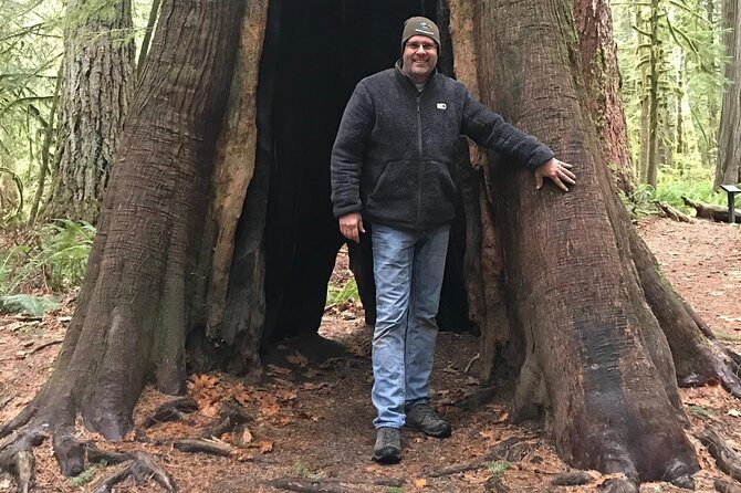 Olympic National Park Day Tour from Seattle - The Sum Up