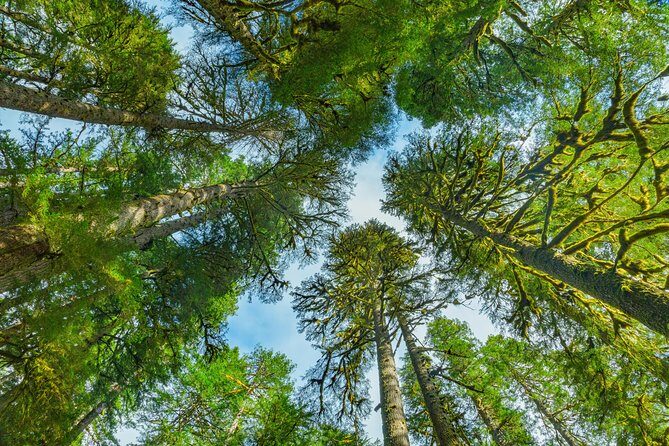 Olympic National Park Day Tour from Seattle - FAQ