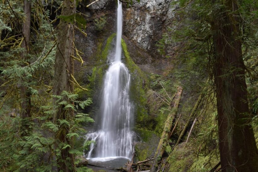 Olympic National Park: Half-Day Tour - Who Will Enjoy This Tour?