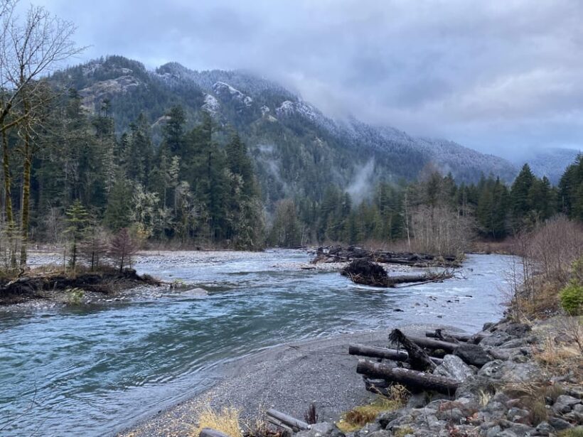 Olympic National Park: Half-Day Tour - Who Should Book This Tour?