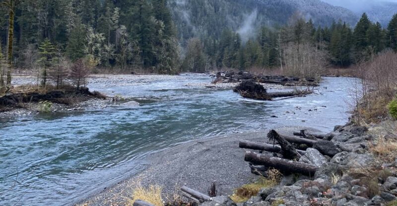 Olympic National Park: Half-Day Tour - What Makes This Tour Stand Out?