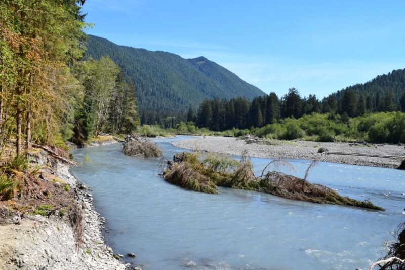 Olympic National Park: Hoh Rain Forest and Rialto Beach Tour - What’s Included and What’s Not