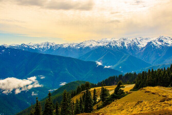 Olympic National Park Self-Guided Driving Audio Tour - Frequently Asked Questions